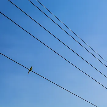 BDEW-Übersicht: Strompreisentwicklung | Preisbildung | Tipps für ...