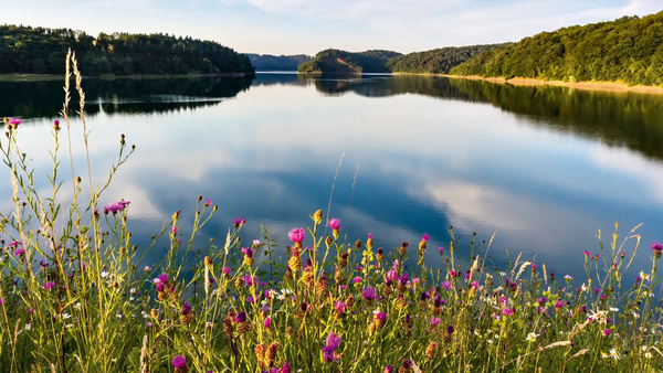 Wasserwirtschaft und Abwasserentsorgung in Deutschland | BDEW | BDEW