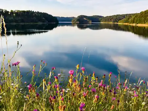 Wasserwirtschaft und Abwasserentsorgung in Deutschland | BDEW | BDEW