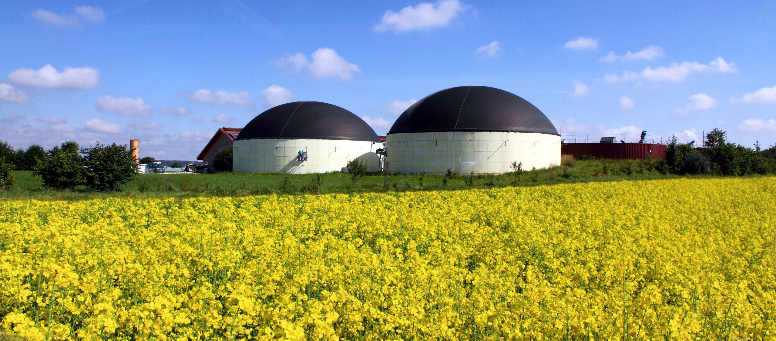 Biomethan: der erneuerbare Alleskönner im Gassystem | BDEW